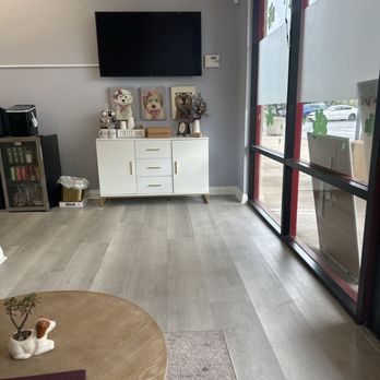 LUXE PUPS - Updated March 2025 - 56 Photos & 31 Reviews - 5420 ...