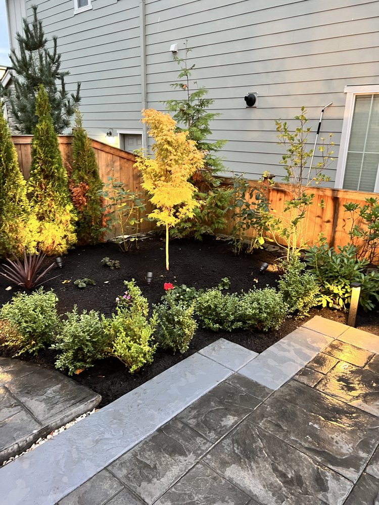 PRECISE LANDSCAPING - Updated July 2025 - 21 Photos - Bothell ...