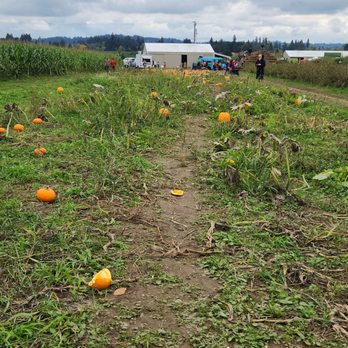 FORDYCE FARM - Updated January 2026 - 46 Photos & 21 Verified Reviews ...