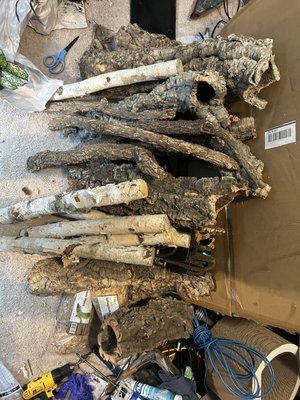 THE BIO DUDE - Updated January 2026 - 75 Photos & 45 Reviews - 15116 ...