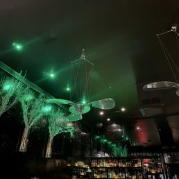 Bartini - Trusted Since 2007 - Updated July 2025 - 495 Photos - 638 ...