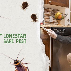 ALL-SAFE PEST & TERMITE - Updated September 2024 - 76 Photos & 88 ...