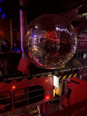 EL SQUID ROE - Updated July 2025 - 353 Photos & 304 Reviews - Col. Centro, Cabo San Lucas, Baja ...