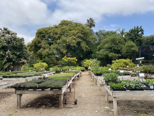 GANTER NURSERY - Updated June 2024 - 100 Photos & 29 Reviews - 3016 ...