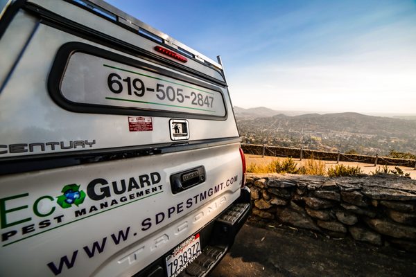 ECOGUARD PEST MANAGEMENT - Updated December 2025 - 25 Photos & 147 ...