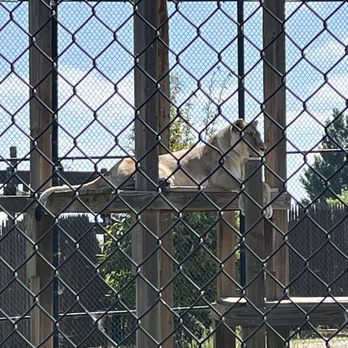 VISION QUEST RANCH - Updated November 2025 - 827 Photos & 320 Reviews ...