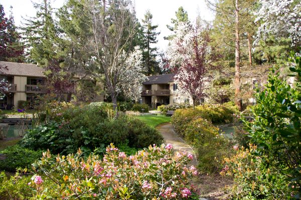 CYPRESS POINT LAKES - Updated January 2026 - 21 Photos - 505 Cypress ...