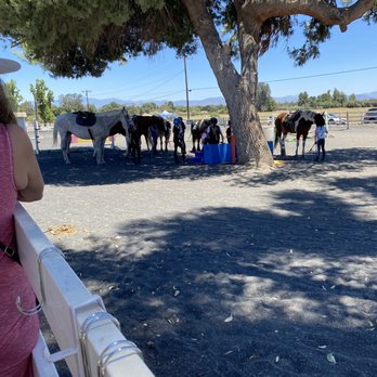 BLOSSOM HILL RANCH - Updated December 2025 - 56 Photos & 38 Reviews ...