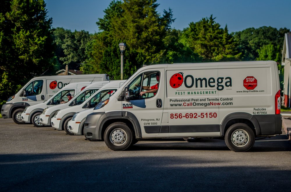 OMEGA PEST MANAGEMENT - Updated August 2025 - 887 Willow Grove Rd ...