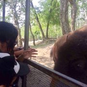 BAYOU WILDLIFE ZOO - Updated January 2026 - 349 Photos & 155 Reviews ...