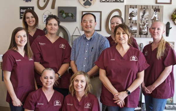 ANIMAL CARE HOSPITAL - 30 Photos & 46 Reviews - 21554 Outer Hwy 18 N ...