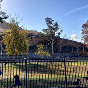 REID PARK - 22 Photos & 12 Reviews - Parks - 800 N Orange St, Riverside ...