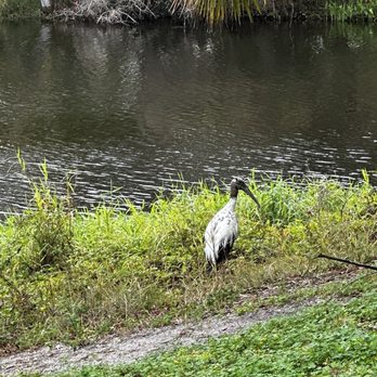 WALTER FULLER PARK - Updated December 2025 - 65 Photos & 25 Reviews ...