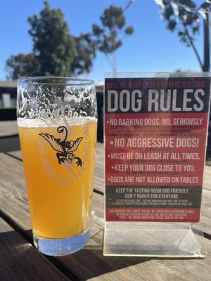 FALL BREWING COMPANY - Updated August 2024 - 34 Photos & 13 Reviews ...