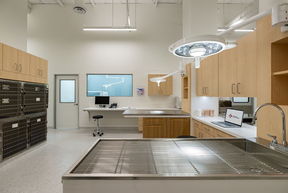 NORTH HILLS ANIMAL HOSPITAL - Updated April 2026 - 78 Photos & 114 ...