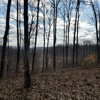 MORGAN-MONROE STATE FOREST - Updated October 2025 - 100 Photos & 21 ...