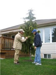 BUCHANAN EXPERT TREE CARE - Updated June 2026 - 11 Photos - 370 Welland ...