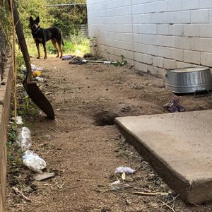 GUD COMMUNITY MANAGEMENT - Updated July 2025 - Tucson, Arizona ...