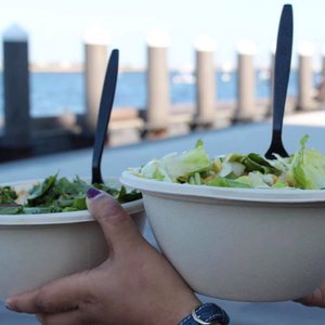 SPROUT - 66 Photos & 22 Reviews - 305 Huntington Ave, Boston ...