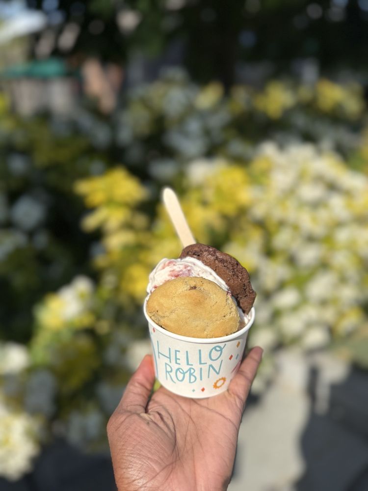 HELLO ROBIN - Updated November 2025 - 1201 Photos & 862 Reviews - 522 ...