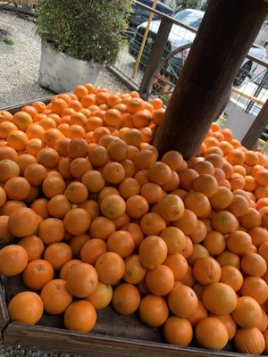 FRANK’S FRESH FRUITS MINI MARKET - 98 Photos & 57 Reviews - 5291 SW ...