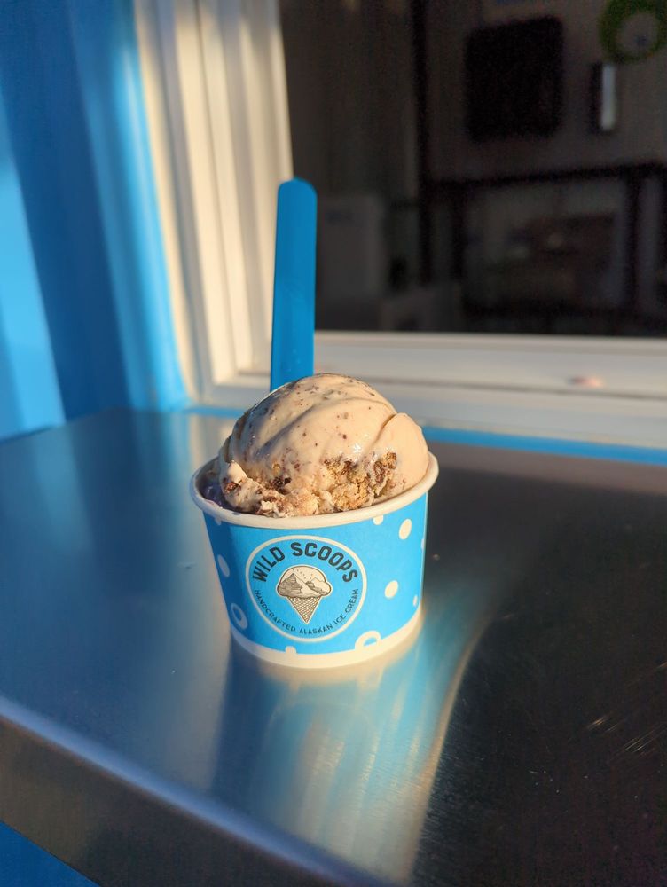 WILD SCOOPS - Updated June 2025 - 21 Photos & 16 Reviews - 717 W 3rd ...