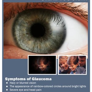 PINNACLE EYE GROUP - Updated April 2025 - 12 Reviews - 6650 Summerlyn ...