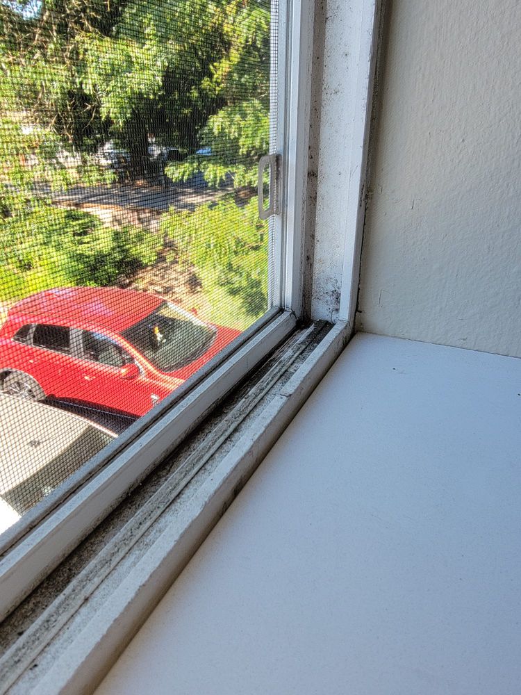 ELITE GLINT - Puyallup, Washington - Window Washing - Phone Number - Yelp