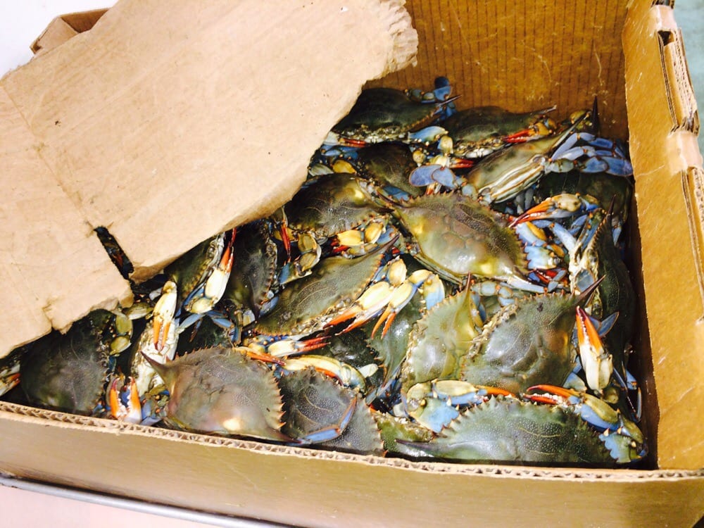 MONTERREY SUPERMARKET - Updated May 2025 - 6356 Forest Hill Blvd ...