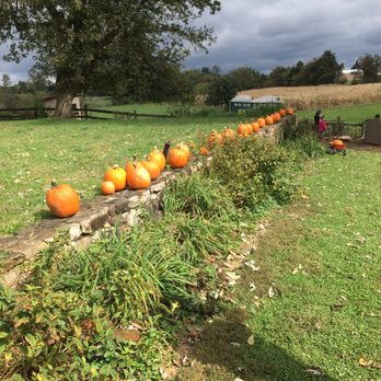 MILKY WAY FARM - Updated November 2025 - 110 Photos & 96 Reviews - 521 ...