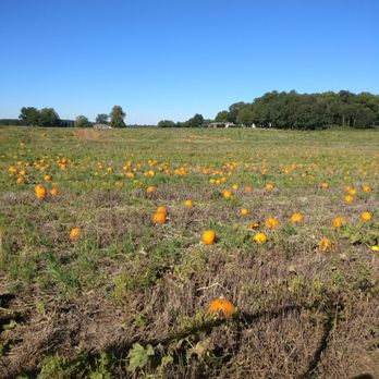 TATE FARMS - Updated December 2025 - 18 Photos & 10 Reviews - 8414A ...