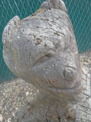 SCICON - Updated December 2025 - 15 Reviews - 41569 Bear Creek Rd ...