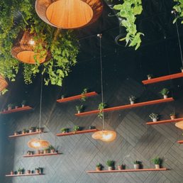 D’POLY TACO GRILL & BEER - Updated July 2025 - 349 Photos & 274 Reviews ...