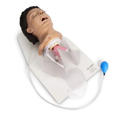 LA FIRE CARD - Updated October 2025 - 144 Photos & 141 Reviews - 1605 W ...