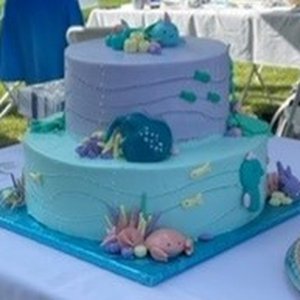 ELITE SWEETS - 50 Photos & 72 Reviews - 33471 8 Mile Rd, Livonia ...