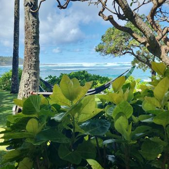 TURTLE BAY BEACH - Updated June 2025 - 391 Photos & 152 Reviews - 57-35 ...