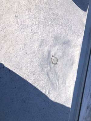 KUNES FREEDOM RV - Updated December 2025 - 17 Photos & 21 Reviews - 825 ...