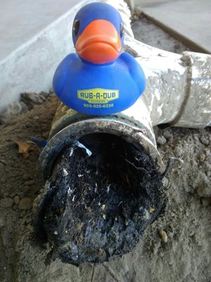 Rub A Dub Plumbing - Updated December 2025 - 21 Photos - 31 Reviews ...