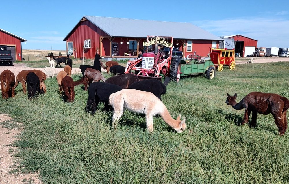 OUR RED BARN RANCH - Updated August 2024 - 11494 N Calhan Hwy, Calhan ...