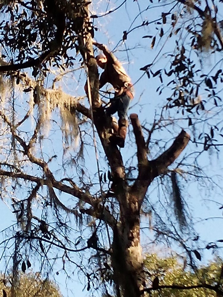 BISHOP TREE AND LAWN - Updated October 2025 - 54 Photos - 14832 NE 10th ...