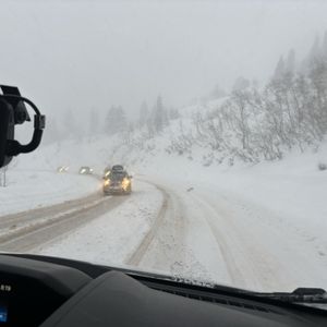 PROTRANS TRANSPORTATION - Updated December 2025 - 18 Photos & 228 ...