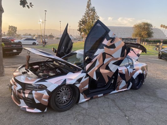 TINYBOT VINYL - Updated April 2025 - 36 Photos - 823 W Gardena Blvd ...