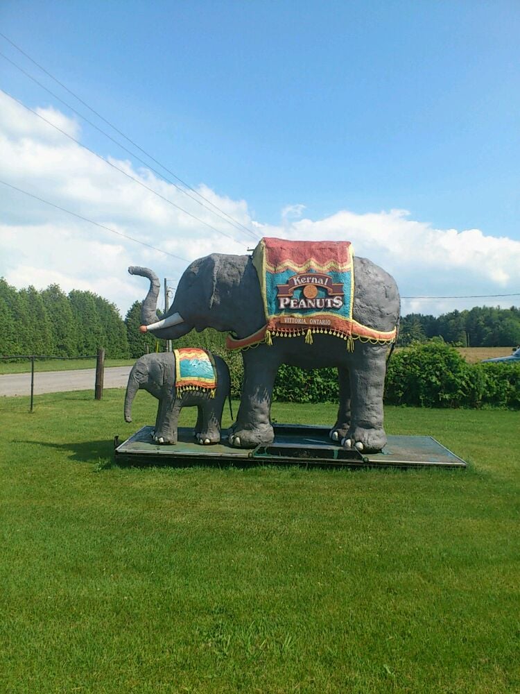 KERNAL PEANUTS - Updated March 2025 - RR 1, Vittoria, Ontario - Food ...