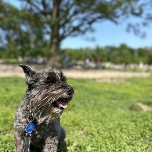 FOREST ANIMAL HOSPITAL - Updated May 2026 - 26 Photos & 123 Reviews ...