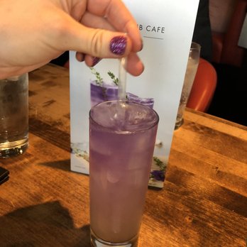 CACTUS CLUB CAFE - Updated August 2024 - 138 Photos & 102 Reviews ...