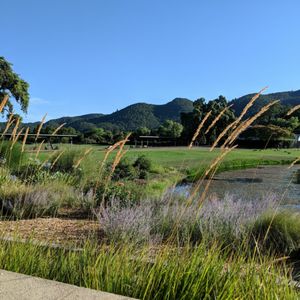 MOUNT ST HELENA GOLF COURSE - 1435 N Oak St, Calistoga, CA - Classes - Yelp