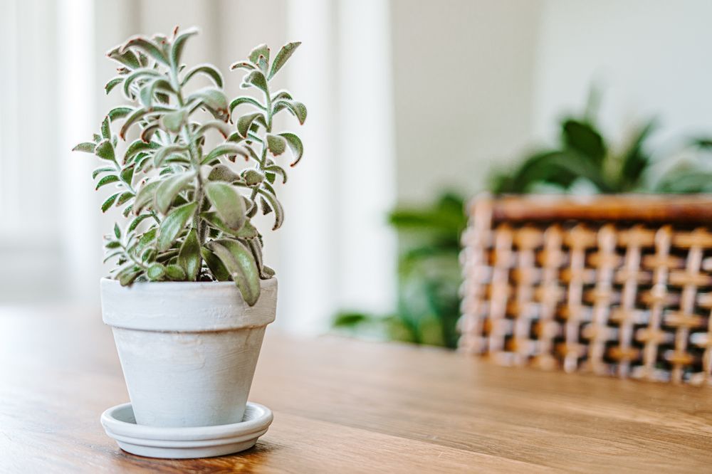 FLOURISH COWORKING SPACE - Updated June 2024 - 39 Photos - 1121 W ...