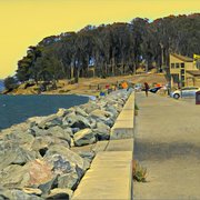 COYOTE POINT RECREATION AREA - 640 Photos & 228 Reviews - 1701 Coyote ...