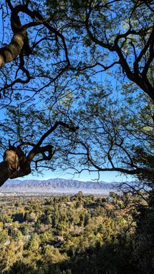 WILACRE PARK - Updated December 2025 - 446 Photos & 177 Reviews - 3431 ...