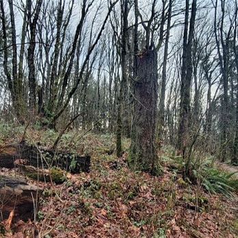 COOKS BUTTE PARK - Updated October 2025 - 33 Photos - 2266 Palisades ...